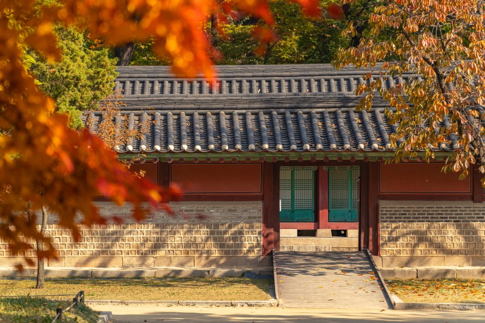 Autumn in Full Bloom: Exploring Seoul’s Royal Palaces