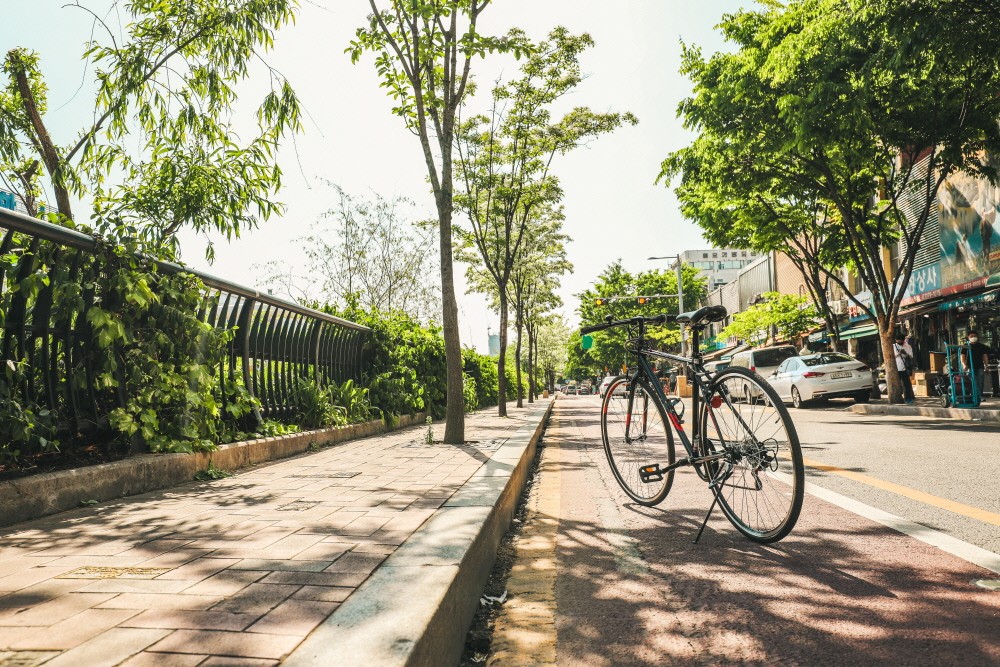 Exploring Seoul on Two Wheels: 5 Scenic Ddareungi Routes