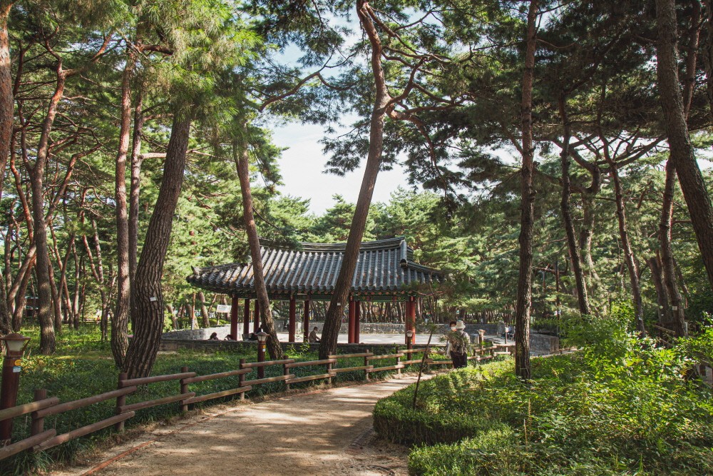 10 Peaceful Forest Trails to Escape Within Seoul