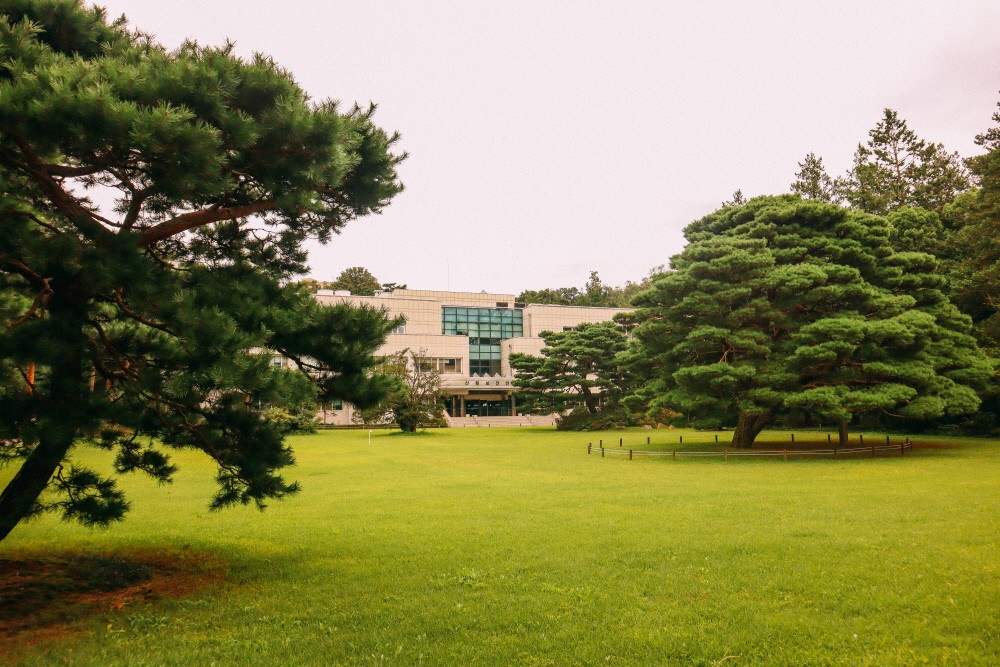 10 Peaceful Forest Trails to Escape Within Seoul