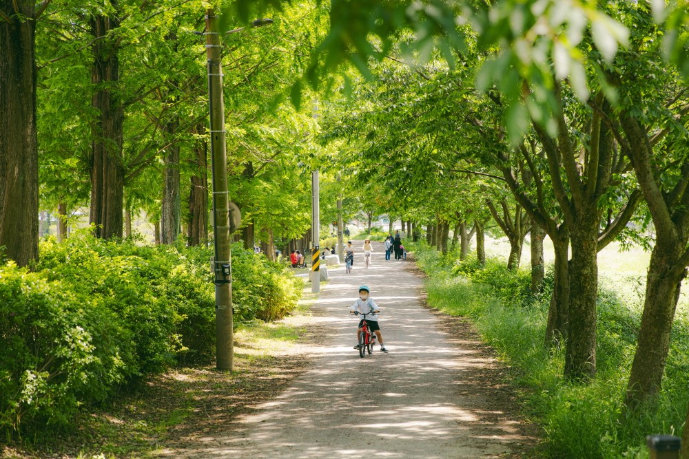 Beyond Hanok Village: A Different Side of Jeonju