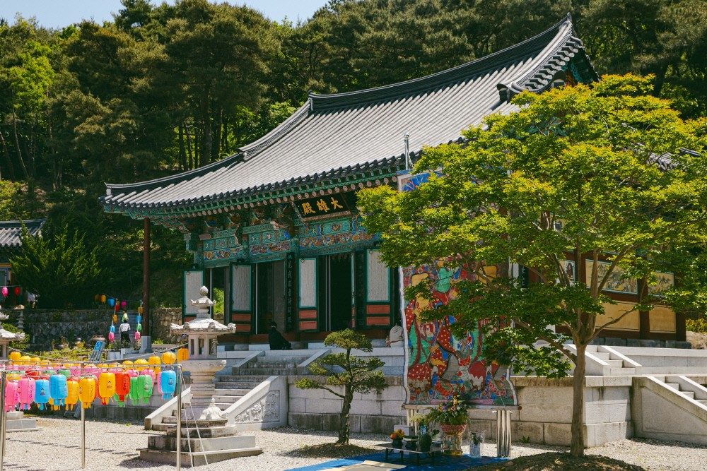 Beyond Hanok Village: A Different Side of Jeonju