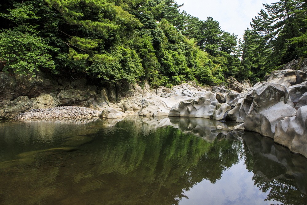 Make the Most of Your Extra Hours: 5 Forest Trails Near Jeju Airport