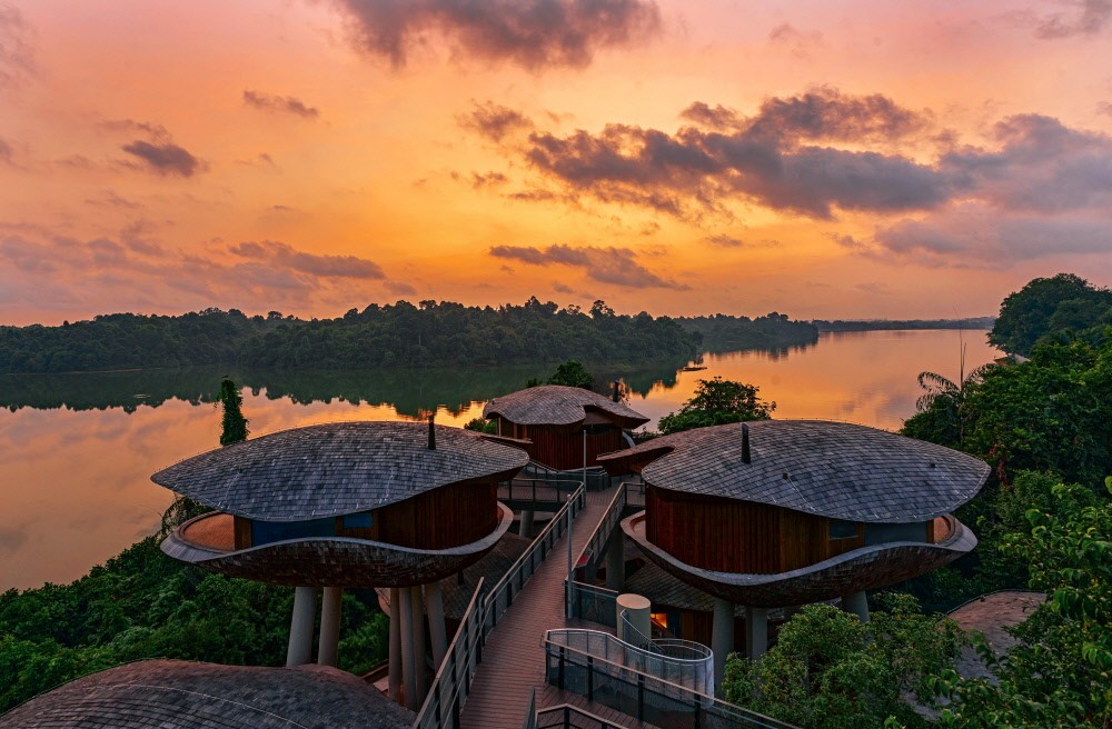 Inside Singapore’s First Banyan Tree: A Luxury Retreat in the Rainforest