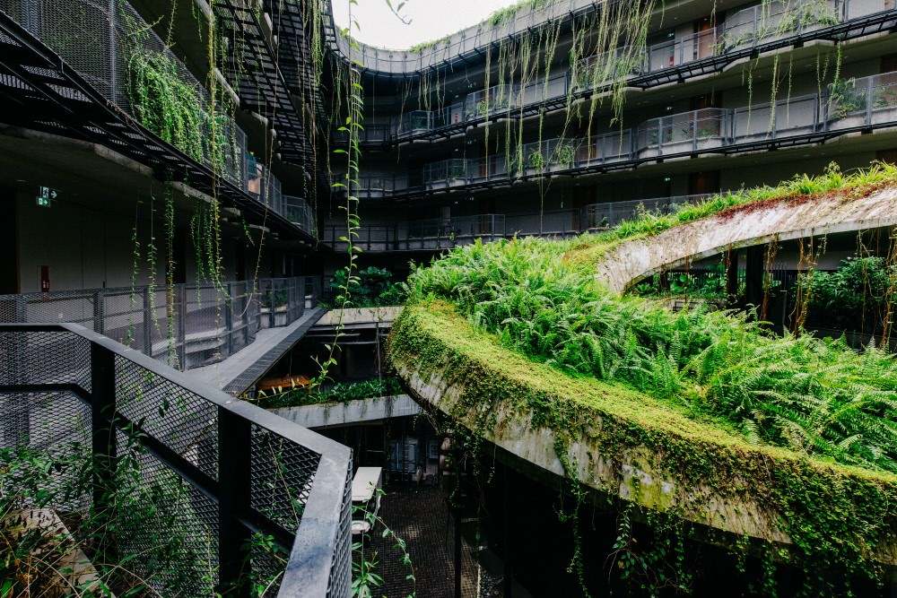 Inside Singapore’s First Banyan Tree: A Luxury Retreat in the Rainforest