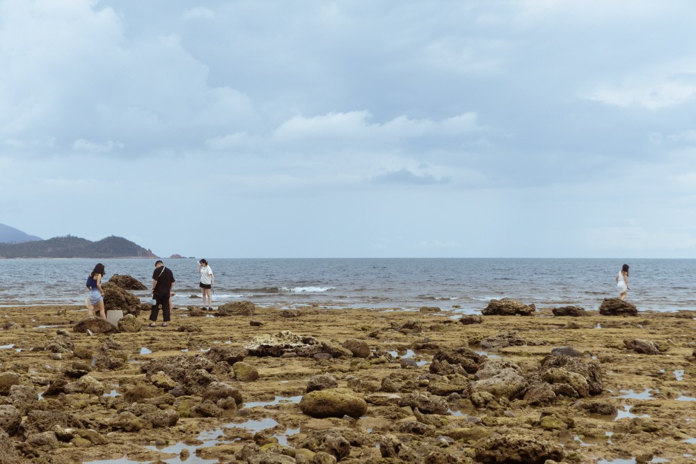 Paradise in Sanya: Islands, Forests, and Resorts That Redefine Relaxation