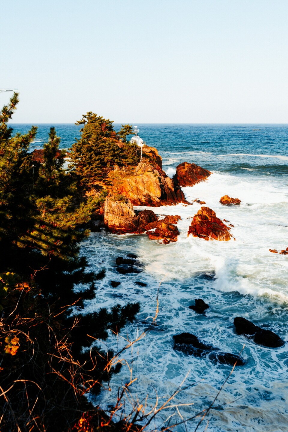 Seven Reasons to Fall in Love With Samcheok: Caves, Coasts, Forests ...