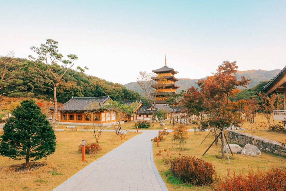 Family Travel in Gimcheon: Parks and Museums Where Kids Learn by Playing